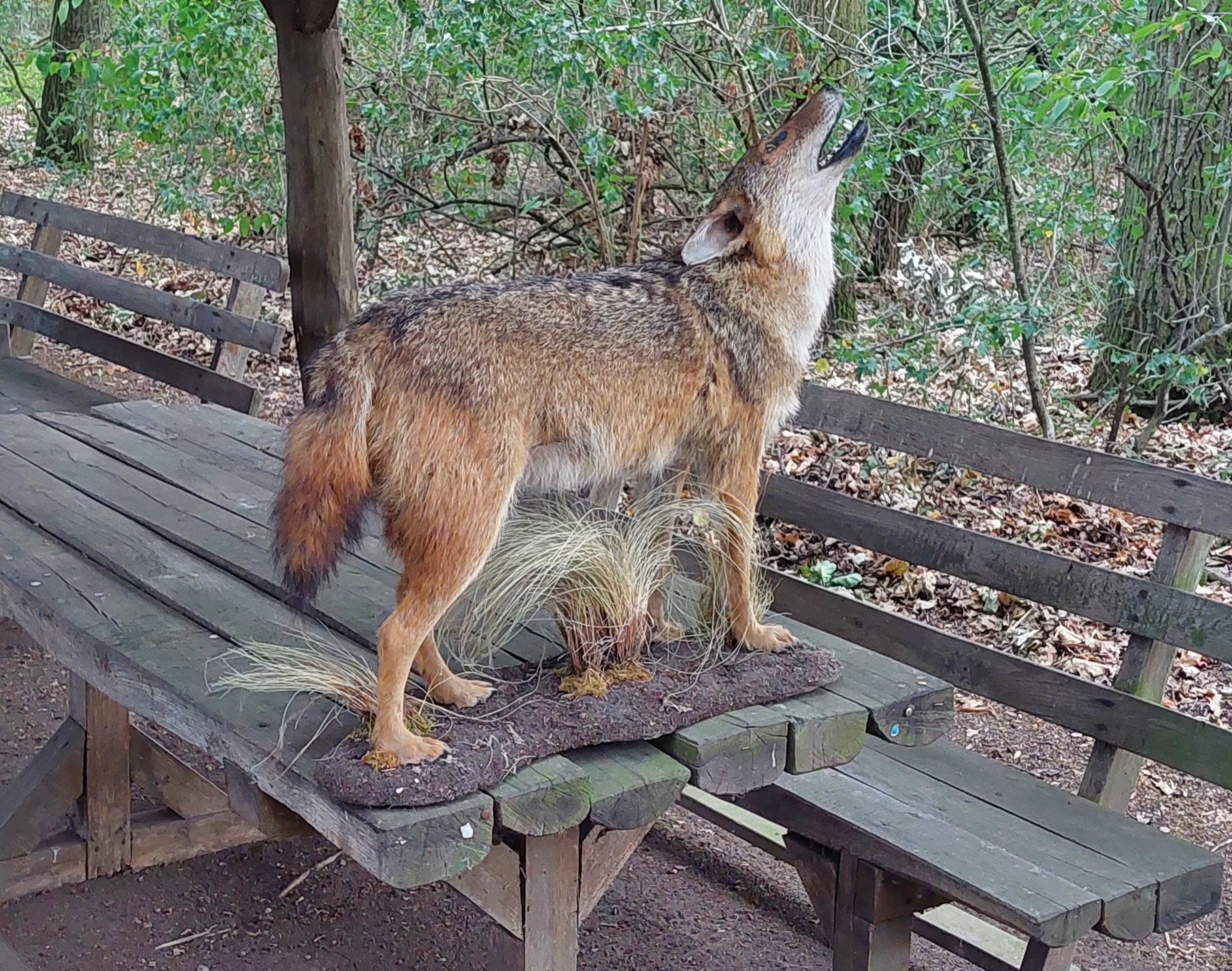 Ha ennyire rettegünk a másságtól, hol húzzuk meg a normalitás határát ...